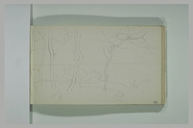 Etude d'arbres devant la mer - Emile René Ménard | Musée d'Orsay