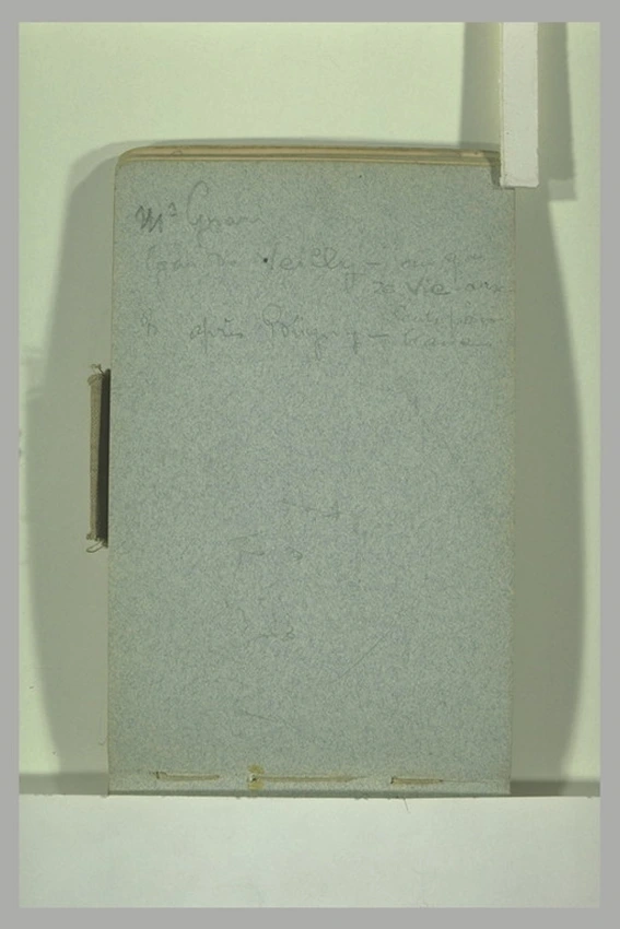 Annotations manuscrites et croquis illisible - François Pompon | Musée ...