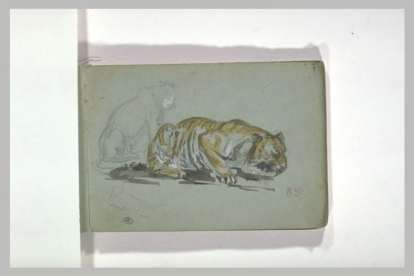 Etudes de fauves - Pierre Andrieu | Musée d'Orsay