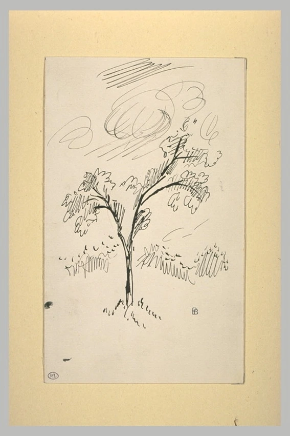 Etude d'arbre au tronc grèle - Pierre Bonnard | Musée d'Orsay