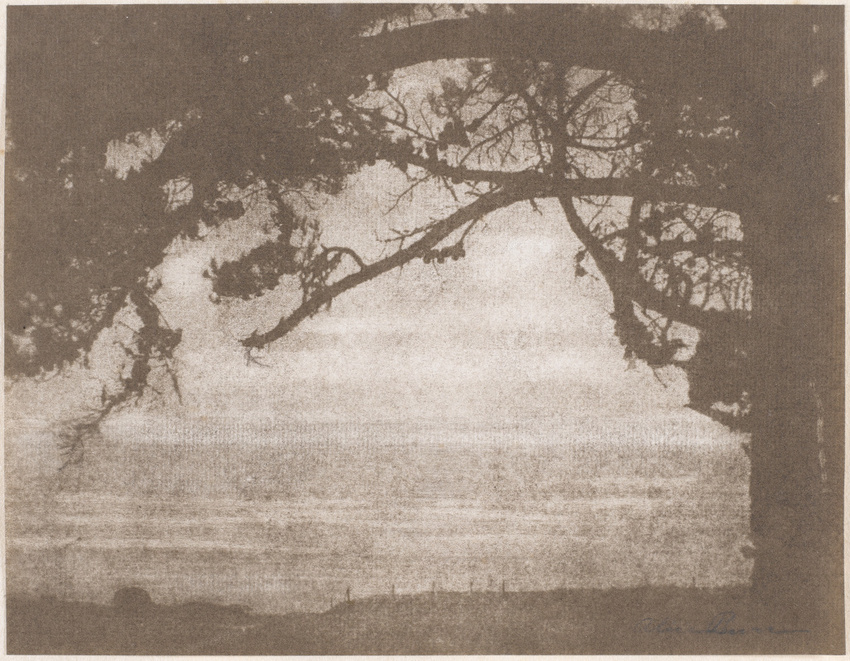 Three silhouette with water - Alice Burr | Musée d'Orsay