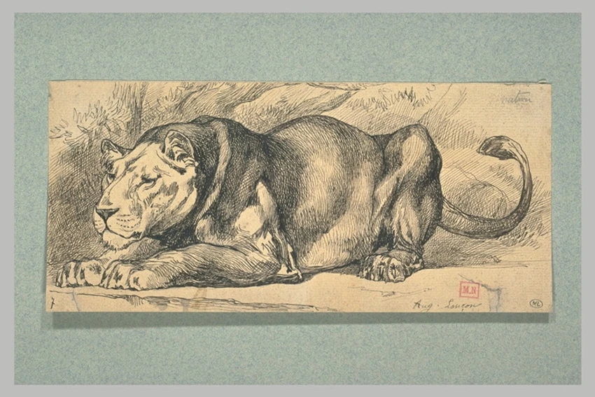 Lionne couchée - Auguste-André Lançon | Musée d'Orsay