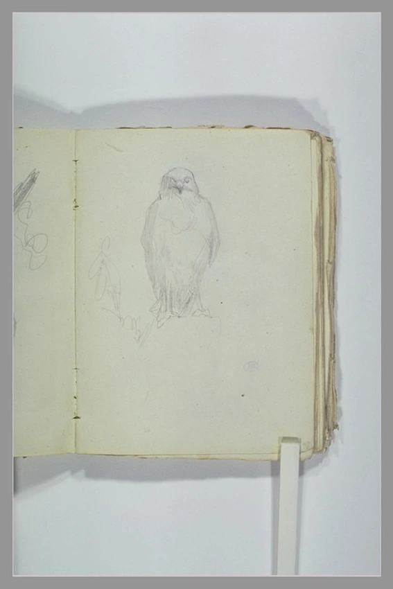 Un rapace - Henri Chapu | Musée d'Orsay