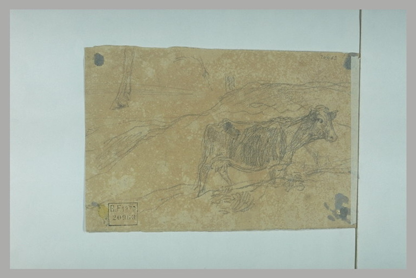 Vache maigre, tournée à droite - Eugène Boudin | Musée d'Orsay