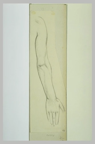 Etude de bras droit - Paul Richer | Musée d'Orsay