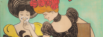 Trois questions à Paul Perrin, directeur de la conservation et des ...