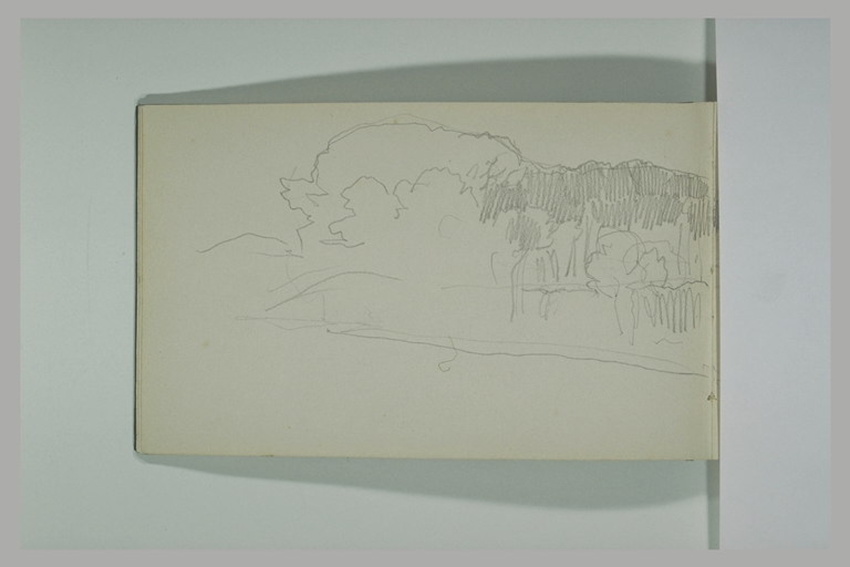 Arbres - Emile René Ménard | Musée d'Orsay