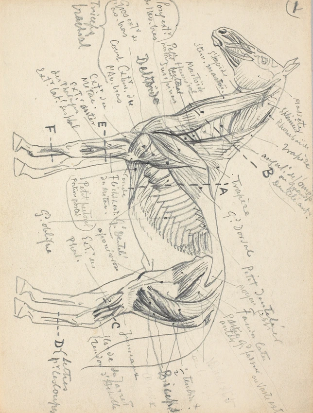 Un cheval - Eugène Grasset | Musée d'Orsay