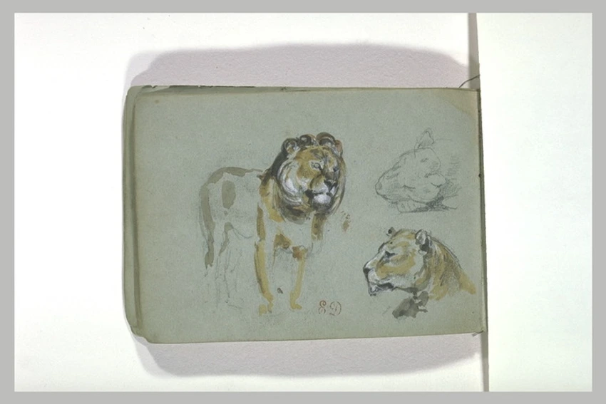 Etudes de fauves - Pierre Andrieu | Musée d'Orsay