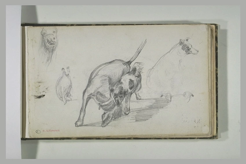 Etudes de chiens et d'une tête d'un autre animal - Stanislas Lépine ...