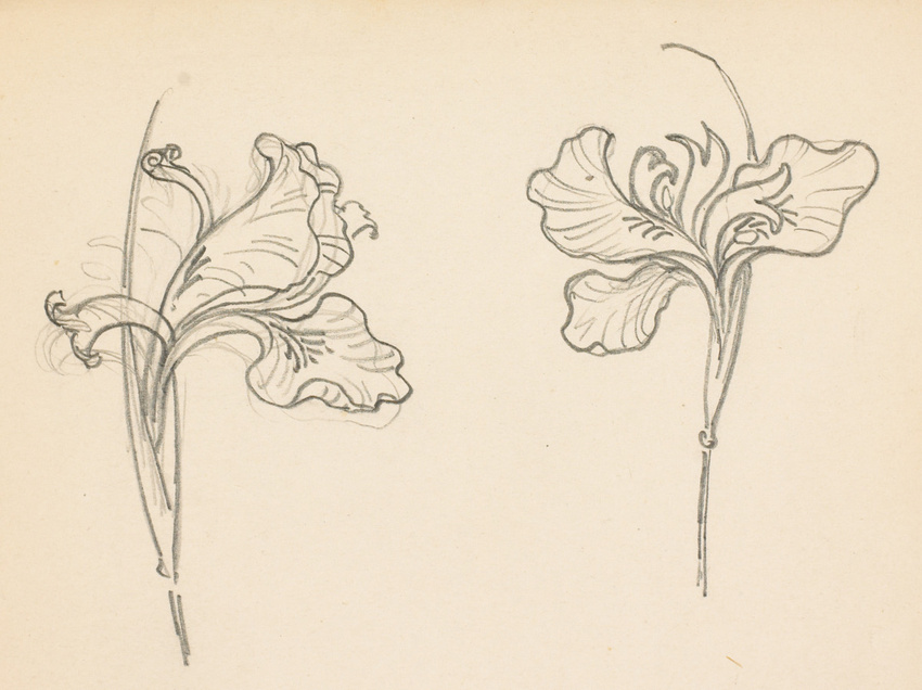 Iris sauvage - Eugène Grasset | Musée d'Orsay