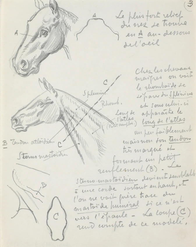 Têtes de cheval - Eugène Grasset | Musée d'Orsay
