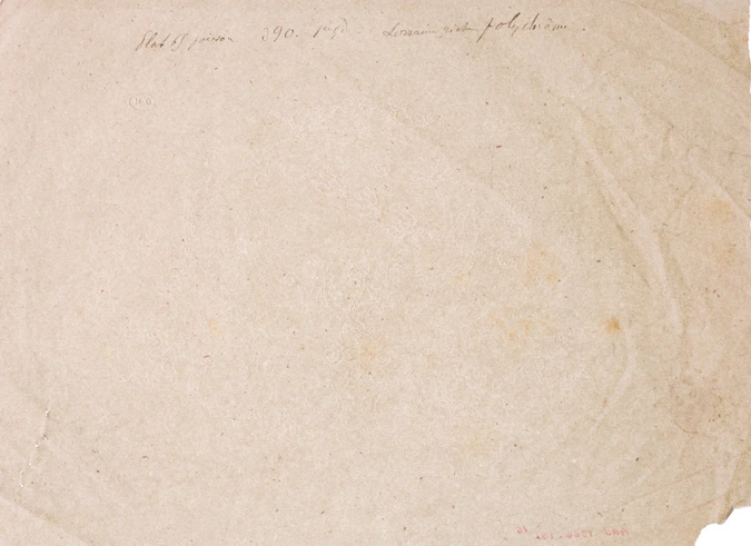 Poncif pour le décor d'un plat à poisson : grandes armes de Lorraine ...