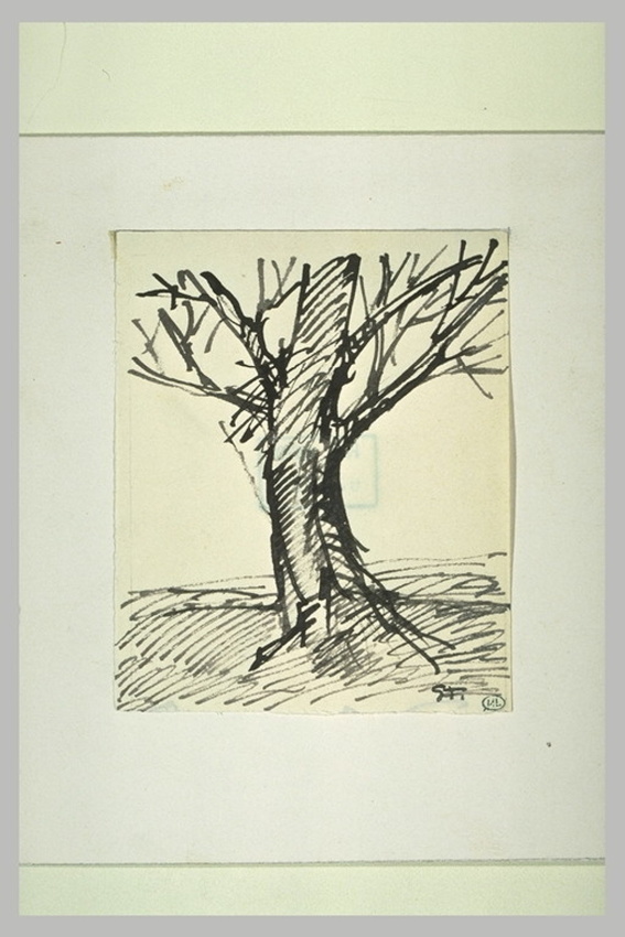 Arbre aux branches sans feuilles - Théophile Alexandre Steinlen | Musée d'Orsay