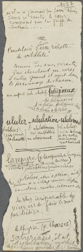 La tourbe - Paul Guillaume | Musée de l'Orangerie