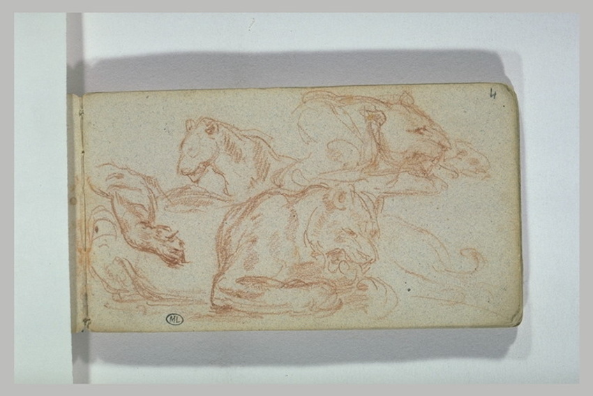 Etudes de fauves - Pierre Andrieu | Musée d'Orsay