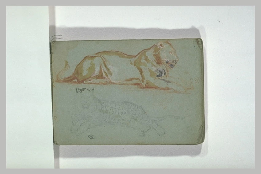 Etudes de fauves - Pierre Andrieu | Musée d'Orsay