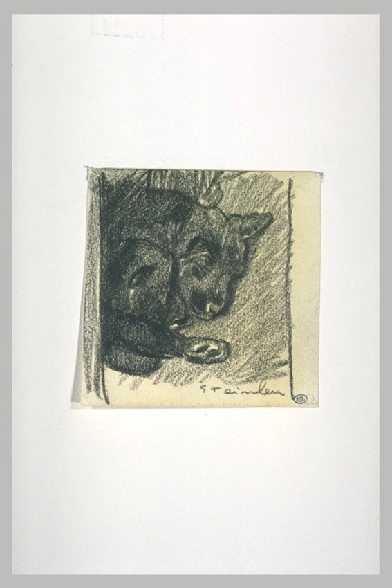 Chien pelotonné - Théophile Alexandre Steinlen | Musée d'Orsay