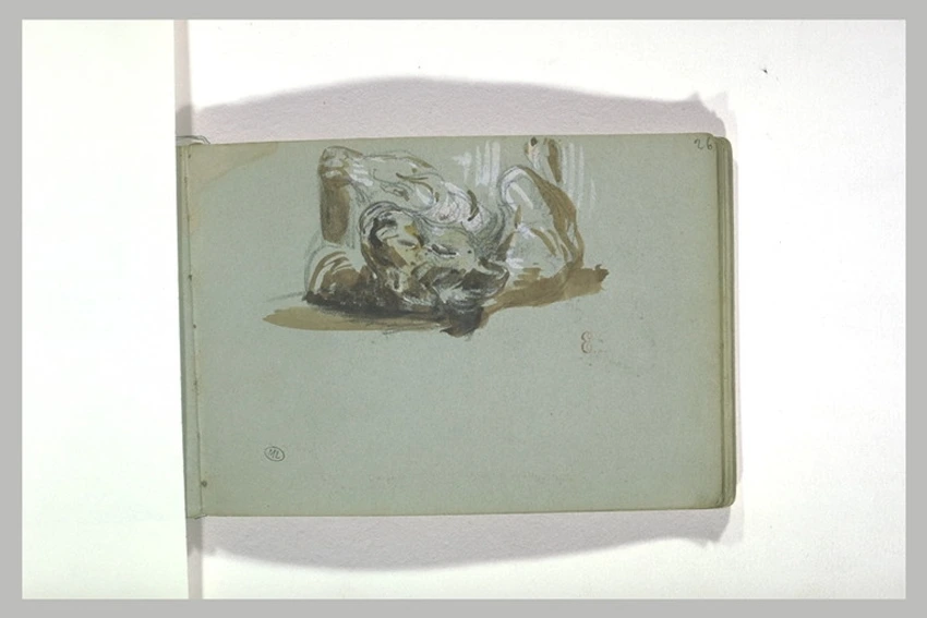 Etude de fauve - Pierre Andrieu | Musée d'Orsay