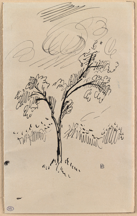 Etude d'arbre au tronc grèle - Pierre Bonnard | Musée d'Orsay