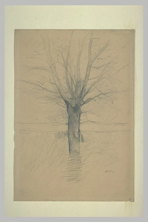 Arbre - Odilon Redon | Musée d'Orsay