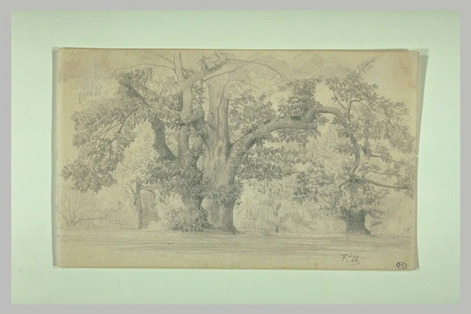 Paysage avec deux grands arbres au centre - Jean-Ferdinand Chaigneau | Musée d'Orsay