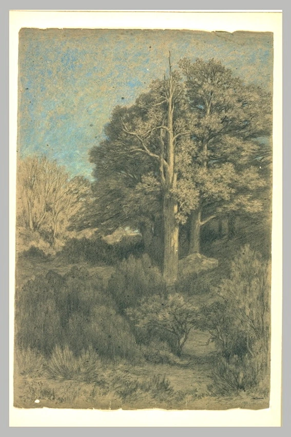 Paysage aux grands arbres - Théophile Chauvel | Musée d'Orsay