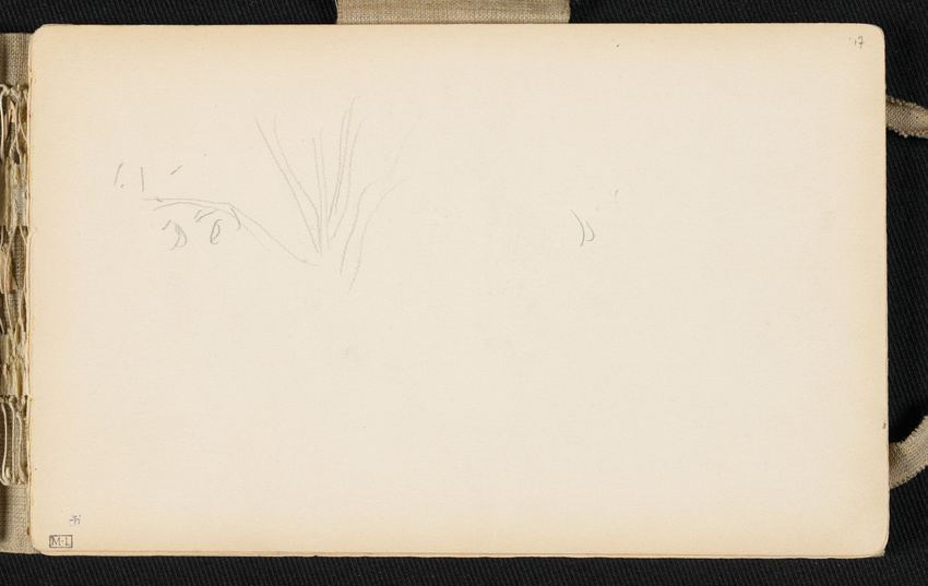 Croquis d'arbre - Pierre Bonnard | Musée d'Orsay