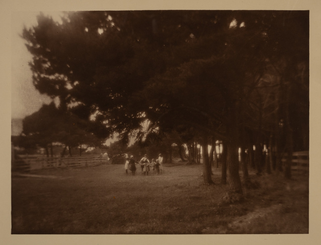 Edge of the Woods - Myra Albert Wiggins | Musée d'Orsay