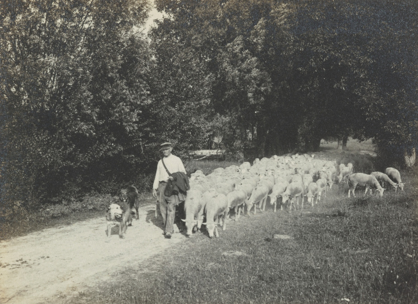 Berger et moutons sur un chemin - Charles Augustin Lhermitte | Musée d ...