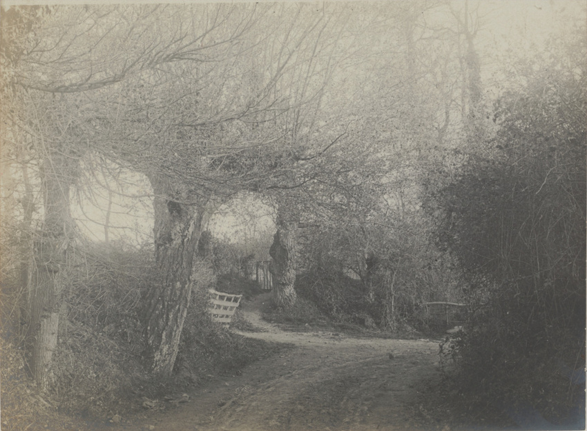 Chemin dans la forêt - Théophile Chauvel | Musée d'Orsay