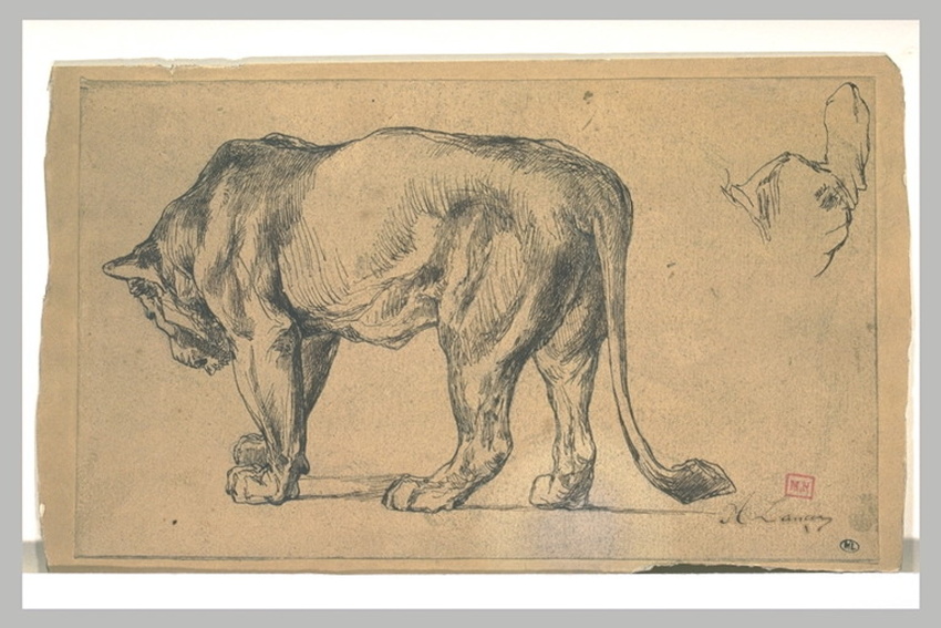 Etude de lionne, se dirigeant vers la gauche - Auguste-André Lançon ...