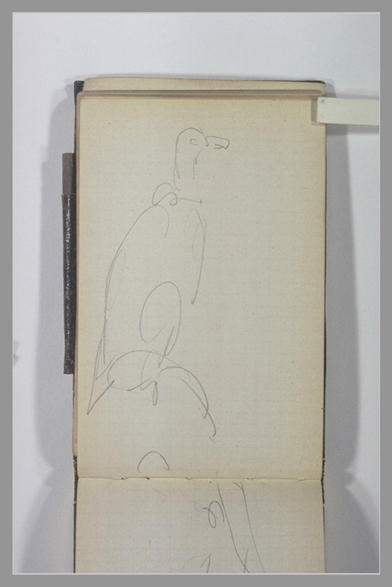 Un rapace sur un promontoire - Adolphe Yvon | Musée d'Orsay