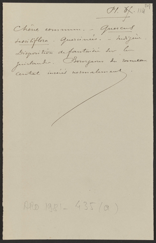 Notice explicative pl. 114 - Victor Ruprich-Robert | Musée d'Orsay