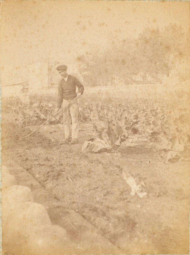 Les Sables Rouges, le jardin et homme - Auguste Delaherche | Musée d'Orsay
