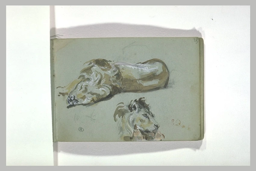 Etudes de fauves - Pierre Andrieu | Musée d'Orsay