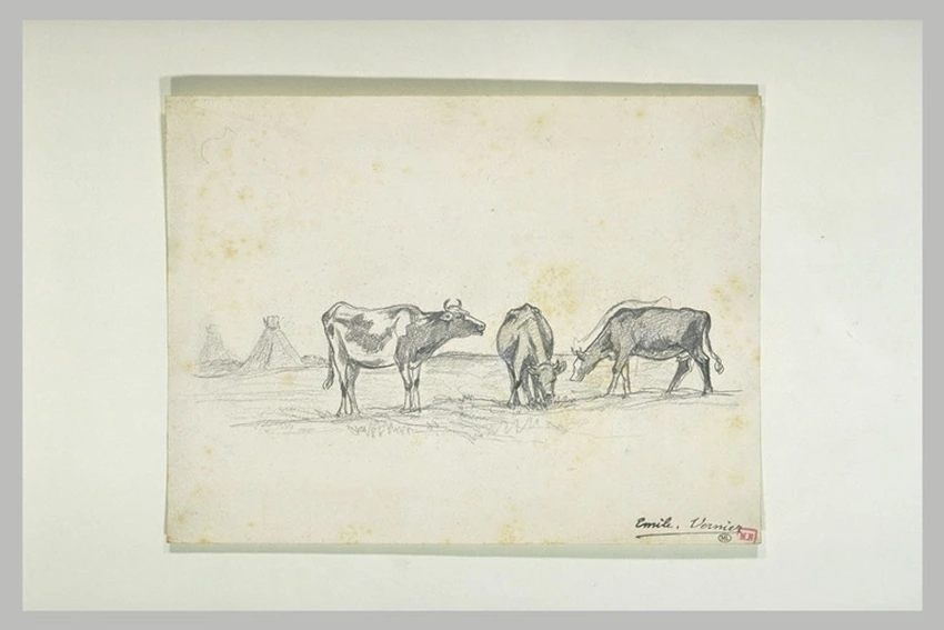 Trois vaches dans un champ - Emile-Louis Vernier | Musée d'Orsay