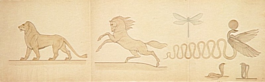 Etude préparatoire pour l'Enseignement progressif du dessin, lion ...