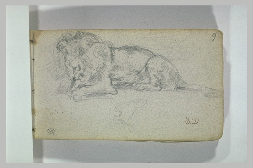 Etude de lion - Pierre Andrieu | Musée d'Orsay