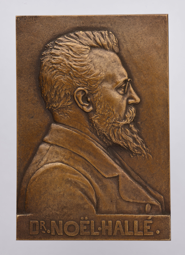Docteur Noël-Hallé - Charles Pillet | Musée d'Orsay