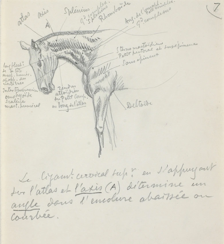 Un cheval - Eugène Grasset | Musée d'Orsay