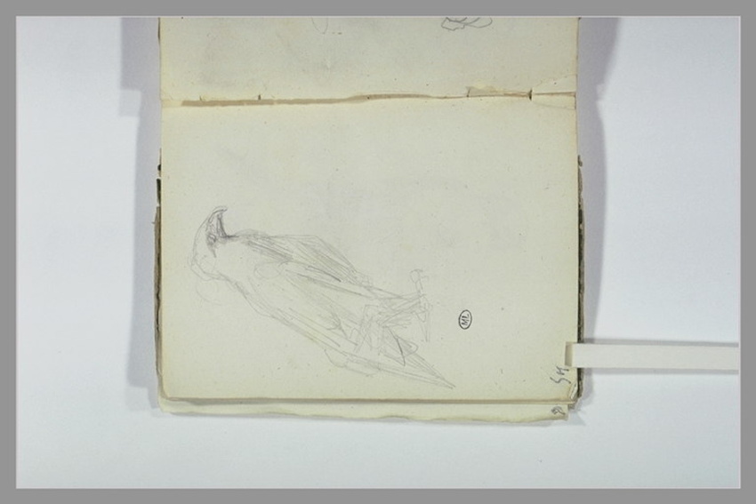 Croquis d'un rapace - Henri Chapu | Musée d'Orsay