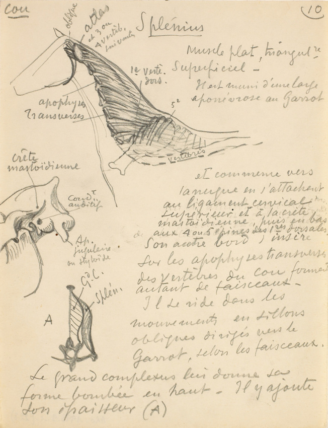 Un cheval - Eugène Grasset | Musée d'Orsay