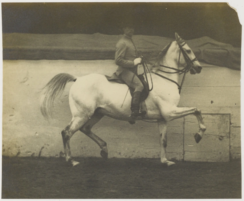 Hippodrome de l'Alma, cavalier sur la piste - Albert Londe | Musée d'Orsay