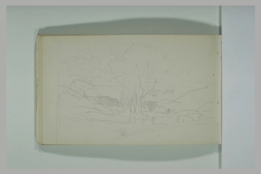 Arbres sur la falaise dominant la mer - Emile René Ménard | Musée d'Orsay