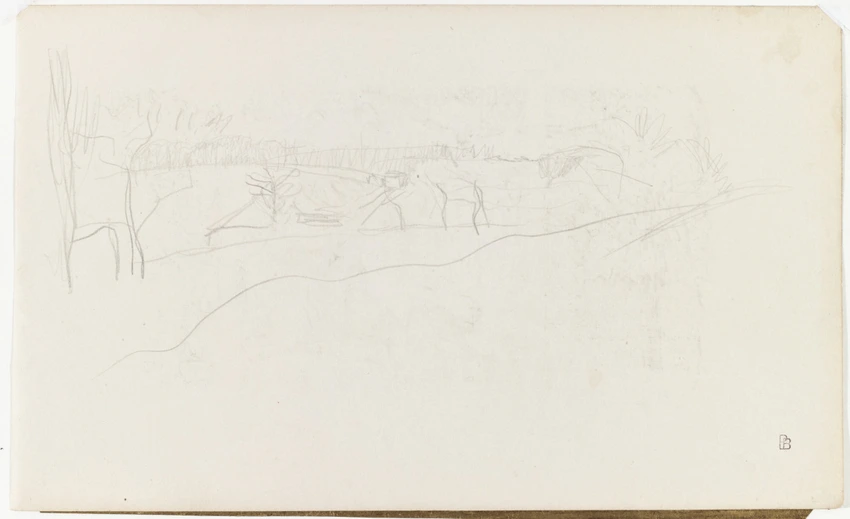 Arbres - Pierre Bonnard | Musée d'Orsay