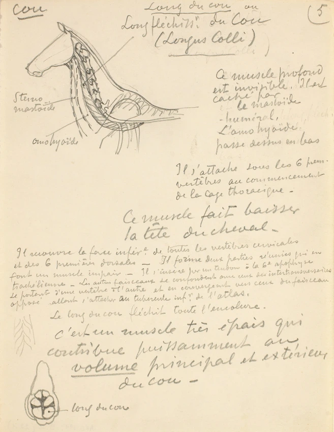 Un cheval - Eugène Grasset | Musée d'Orsay