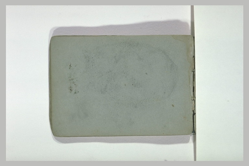 Croquis de fauve - Pierre Andrieu | Musée d'Orsay