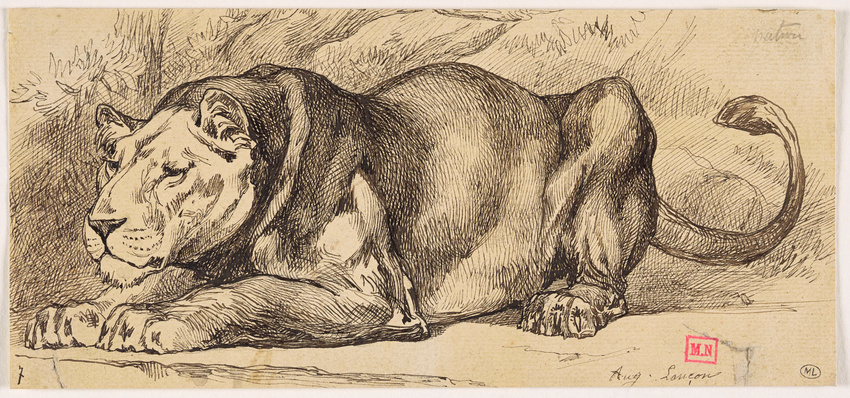 Lionne couchée - Auguste-André Lançon | Musée d'Orsay