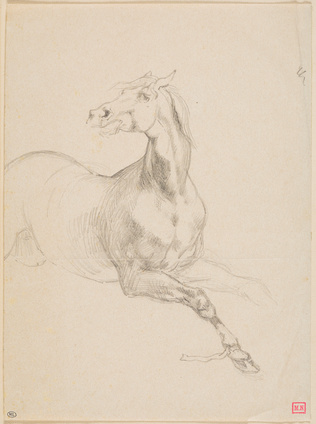 Cheval couché sur le ventre, jambes en avant, relevant la tête ...